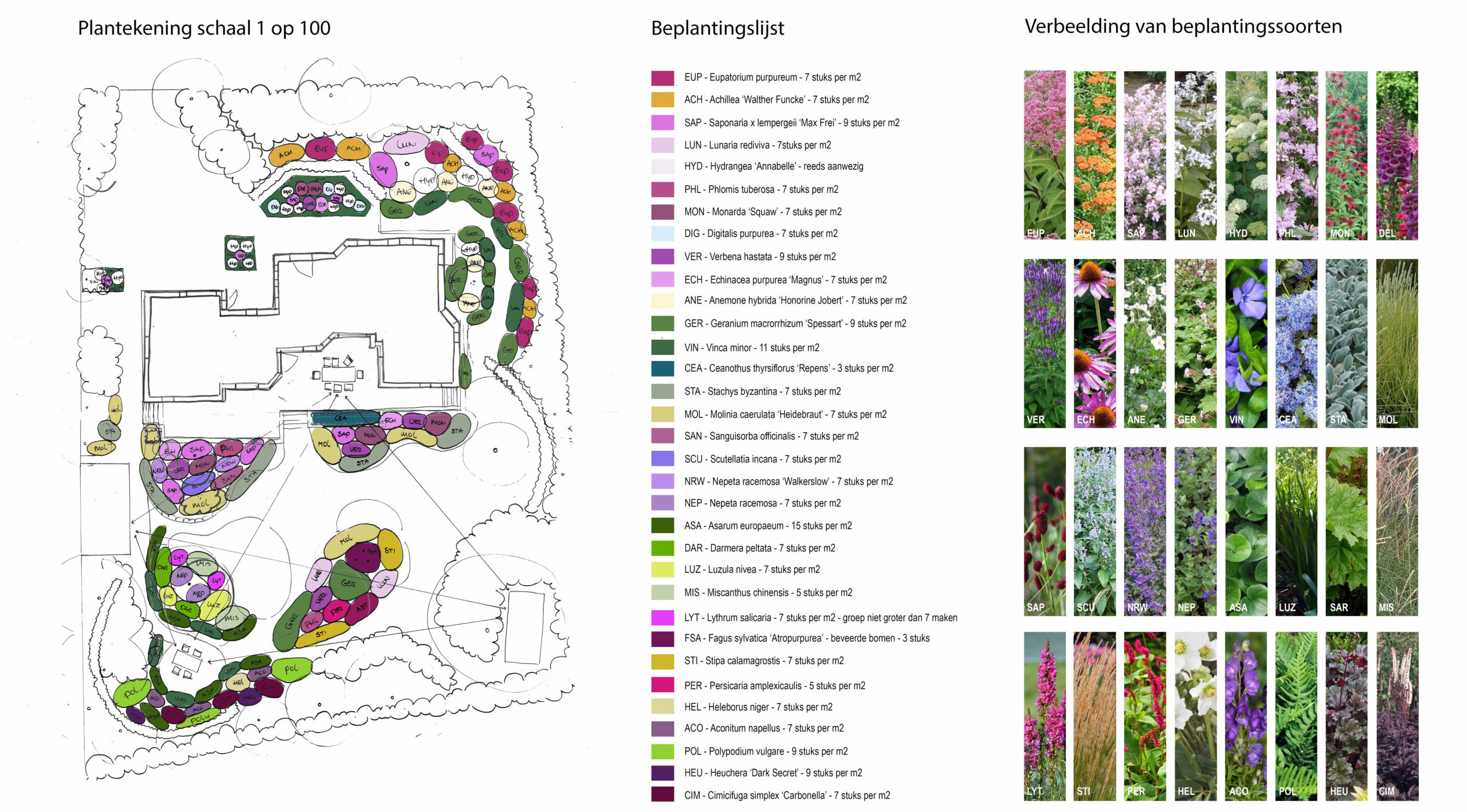 BEPLANTINGSPLAN - TUINVOORJOU